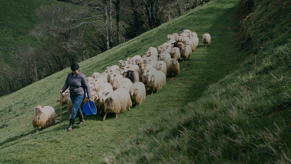The Cheese Lover Shop Cheese Lover Shop